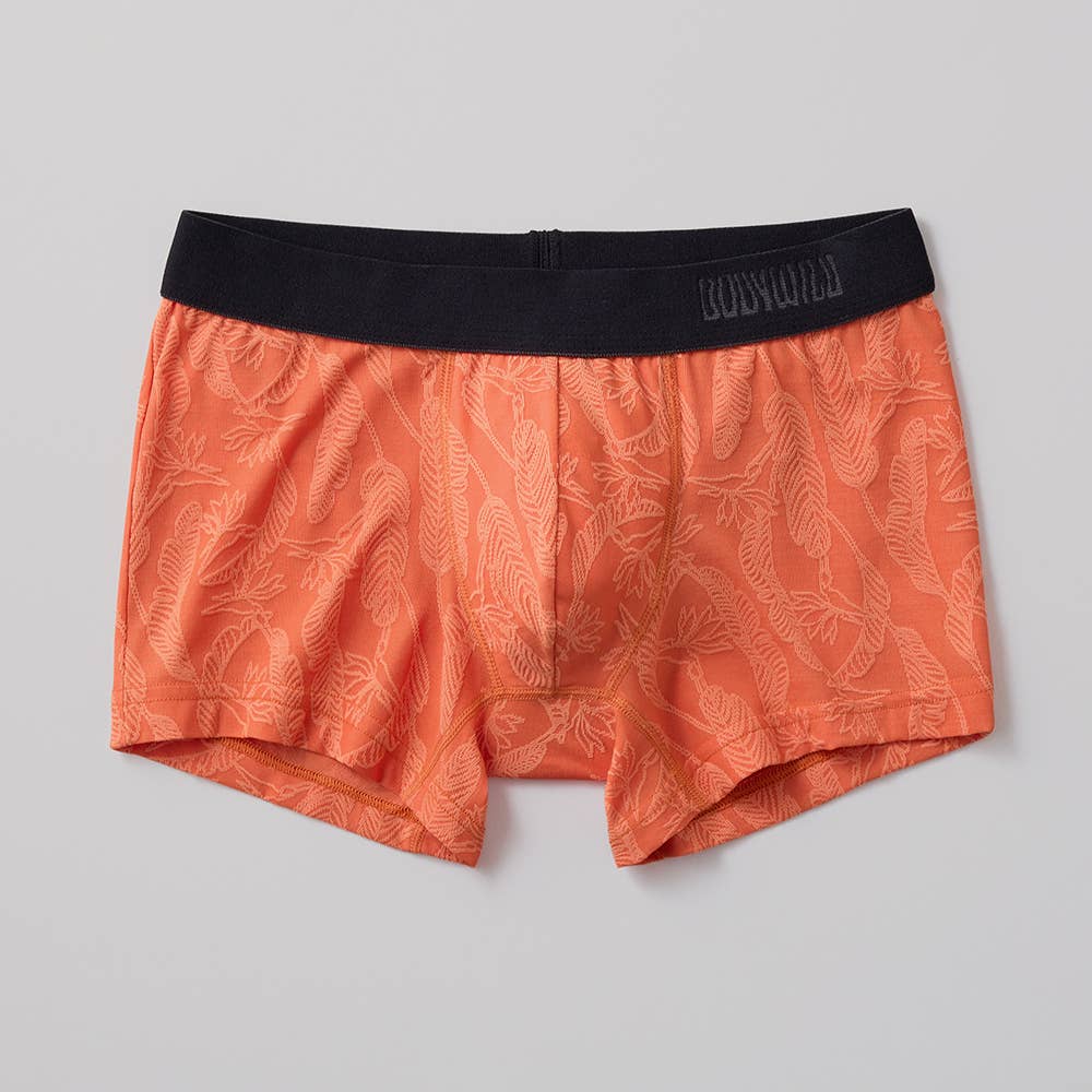 Boxer shorts (front fastening) [SALE] BWE113A: Men's pants (underwear)